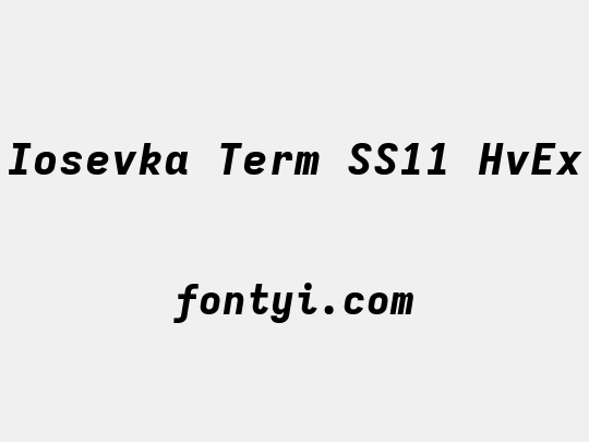 Iosevka Term SS11 HvEx - 字易网