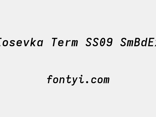 Iosevka Term SS09 SmBdEx - 字易网