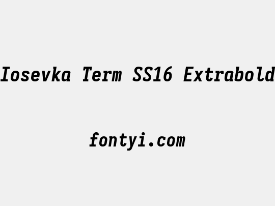 Iosevka Term SS16 Extrabold - 字易网