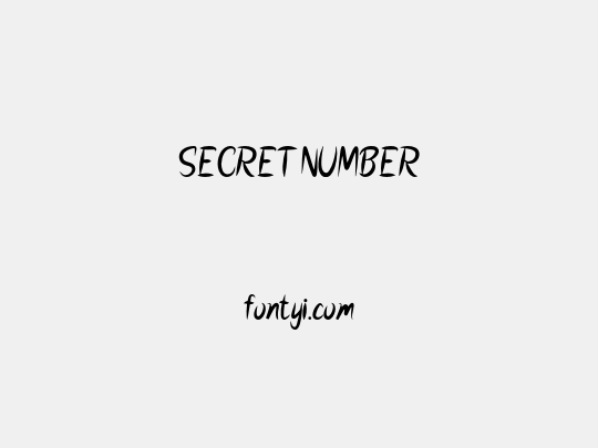 SECRET NUMBER - 字易网